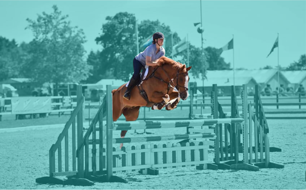 MonoShield Equine UK